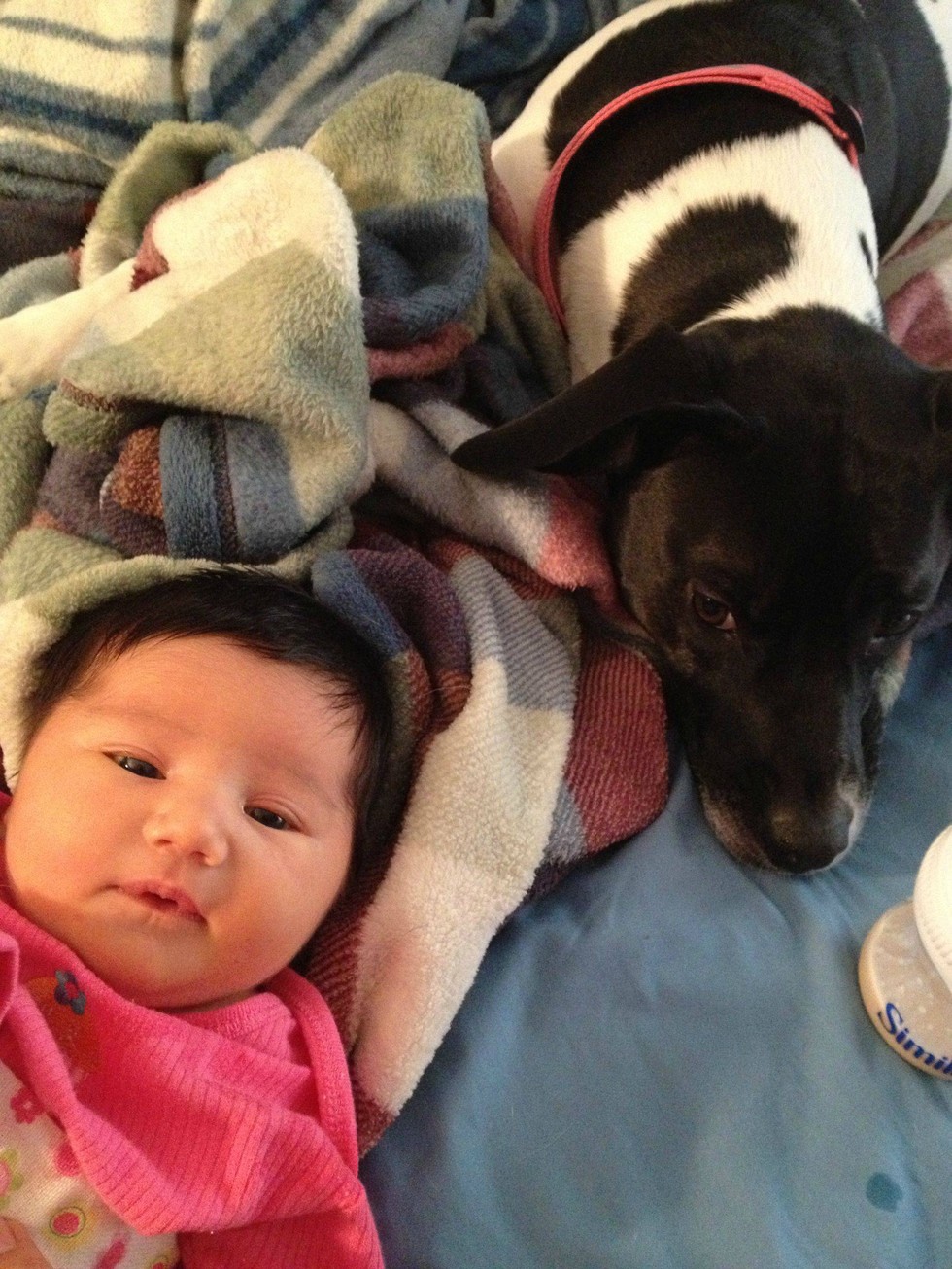 Dogs Who Are Awesome Parents ... To Their Human Kids