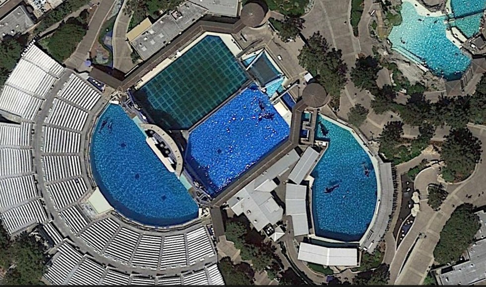 SeaWorld Cares THIS MUCH More About Cars Than Killer Whales