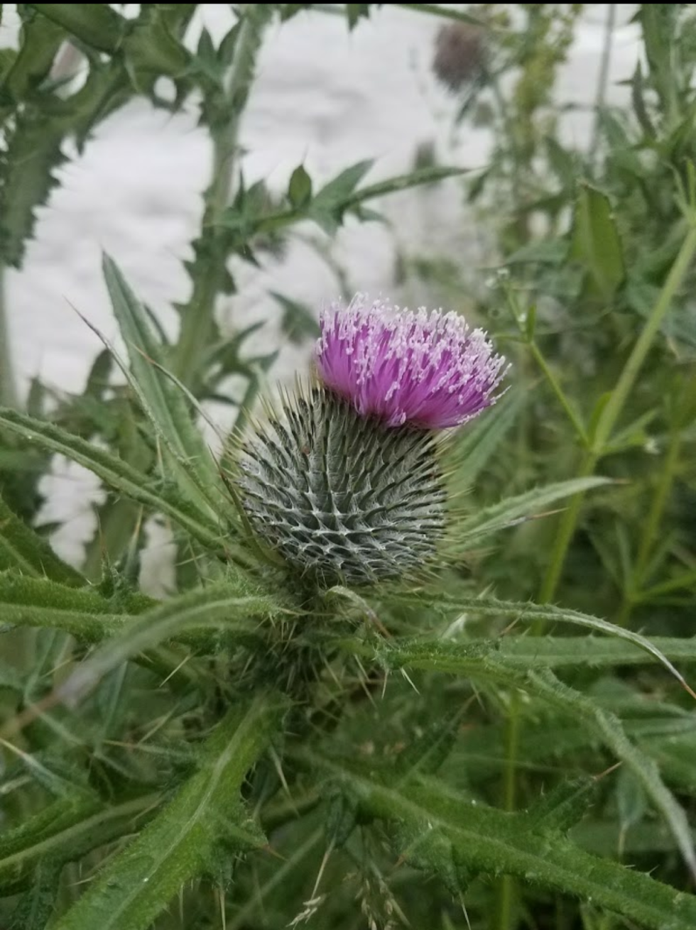 10 Reasons To Visit Ireland