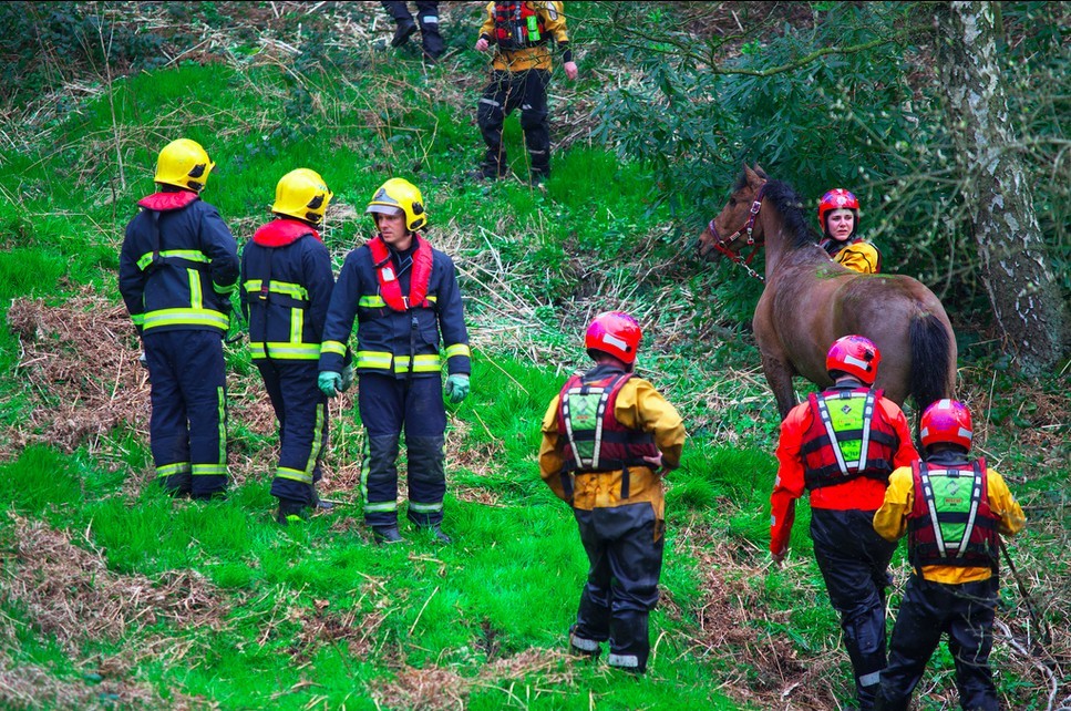 Photos: Team Of Firefighters Rescue Horse From River