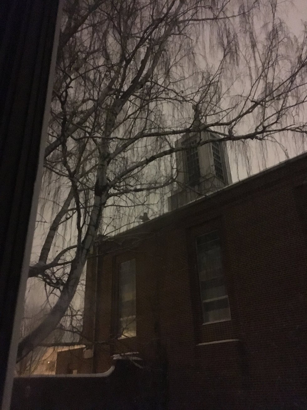 16 Memes That Accurately Describe Georgia Weather