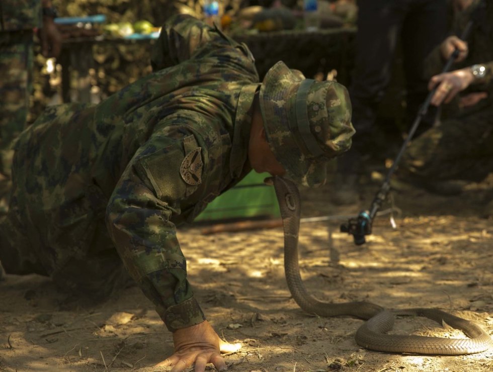 These pictures of Marines drinking Cobra blood are as grisly as you'd ...