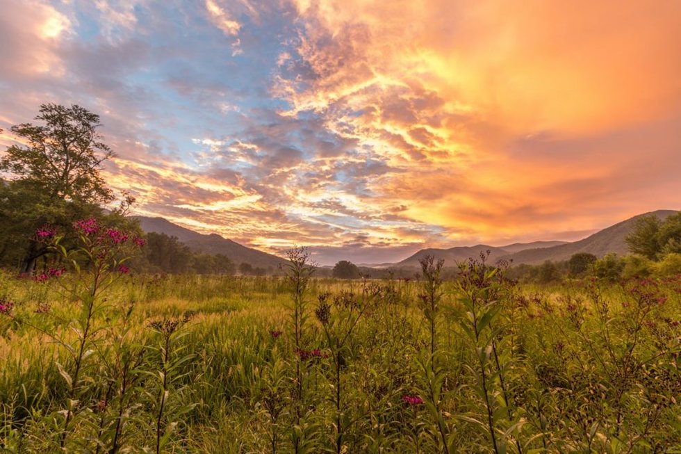 25 photos that prove the South is the most beautiful place in the world ...