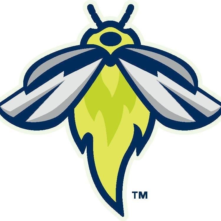 The Fighting Okra? These are the most Southern mascots and nicknames ...