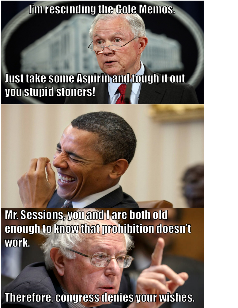 Fallacies In Politics