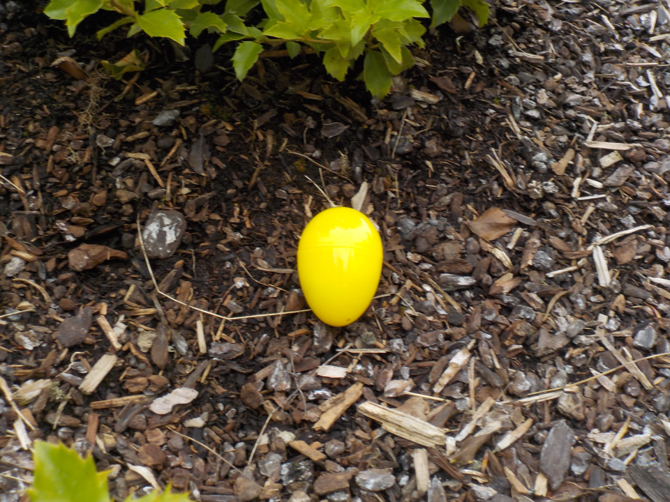 National Squirrel Appreciation Day