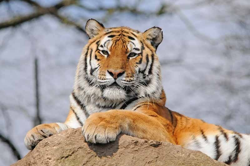 The 5 Worst Zoos In The World -- And How To Save Their Animals