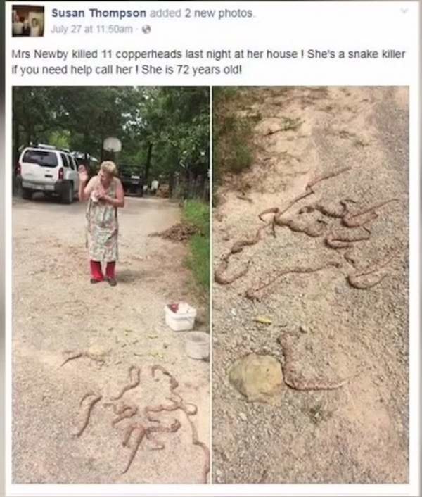 72-year-old woman uses shotgun, shovel, and rake handle to kill 11 ...