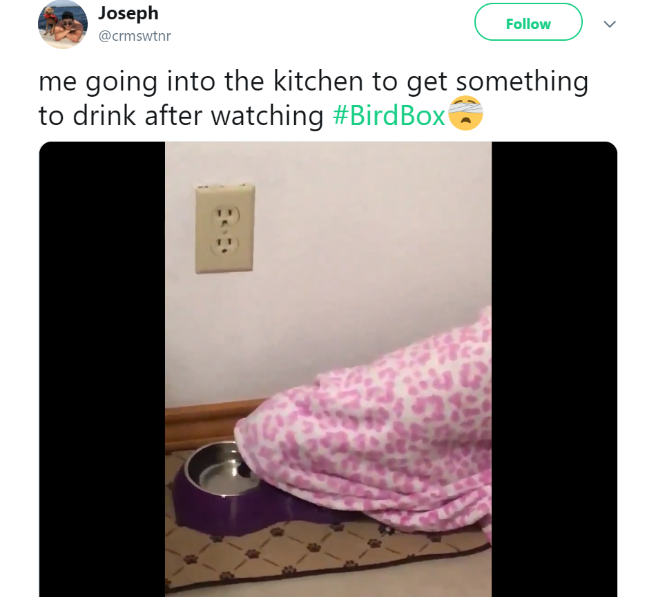 23 Hilarious 'Bird Box' Memes Thanks To The Internet