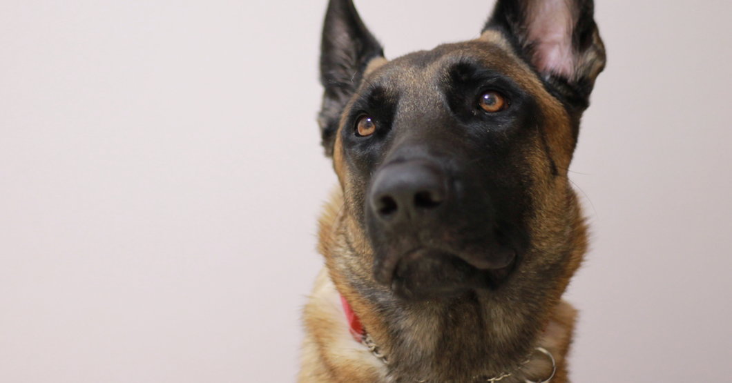 Top 20 Favorite Quotes From Hamilton: An American Musical