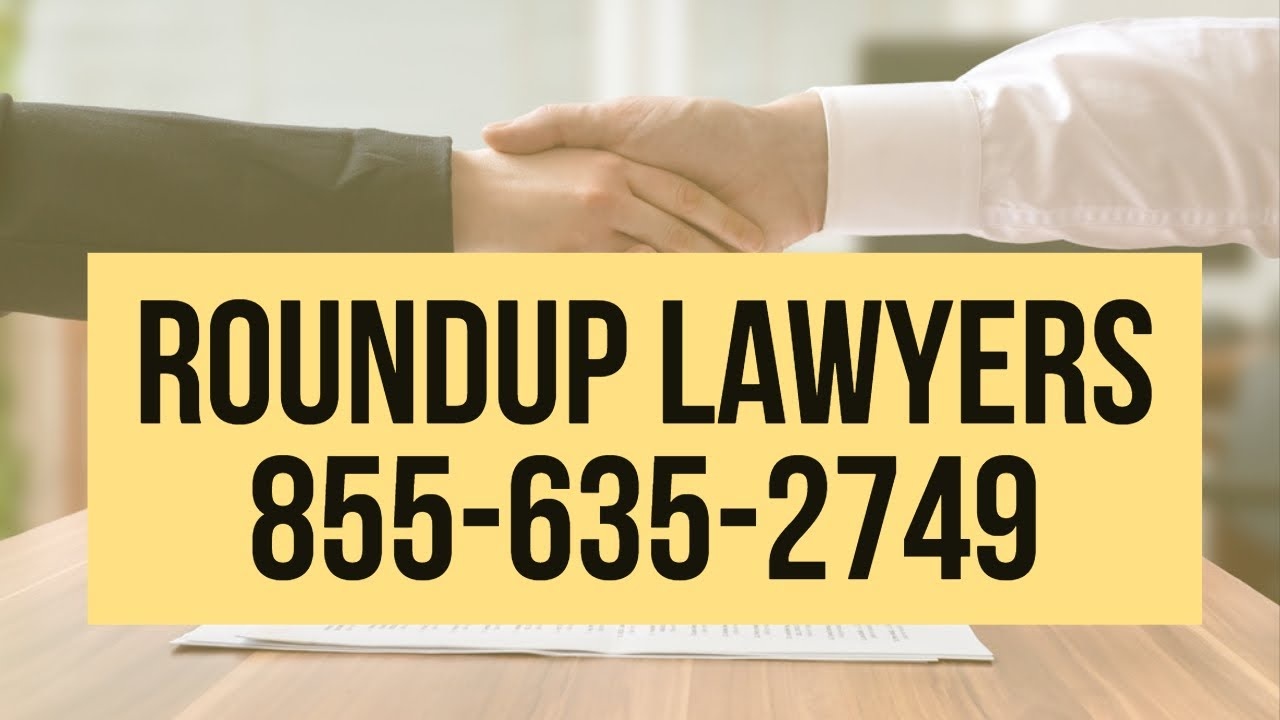 Peter Dykstra: Attorneys spring eternal - EHN