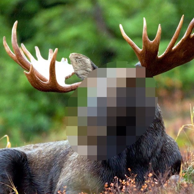 This Is By Far The Grossest National Park I've Ever Seen - Upworthy