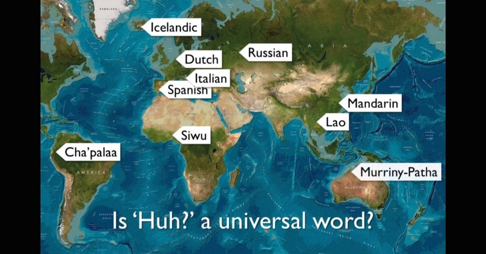 Turns out, everybody says 'huh' — or at least something pretty darn ...