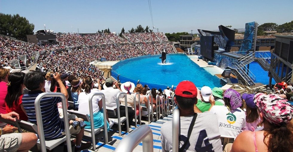 A movie went behind the scenes, and now SeaWorld is just trying to stay ...