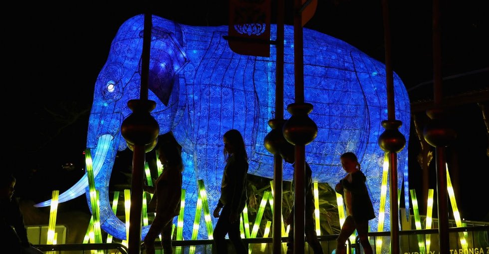 These incredible creatures are made of lights but will have a very real ...