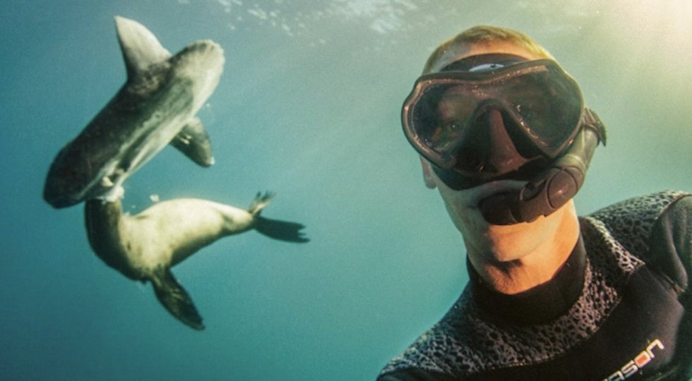 This diver's photos are spectacular. They also make an important ...