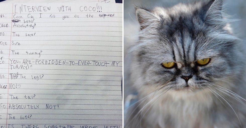 31 Days of Happiness Countdown: a girl's super funny interview with her ...