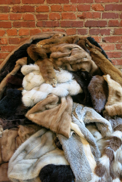 Finally, The Perfect Way To Get Rid Of Your Old Fur Coat