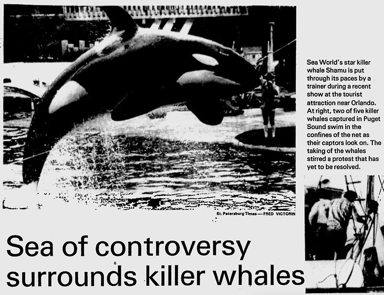 Photos Don't Lie: SeaWorld Has Been Ignoring Protests For Nearly 50 Years