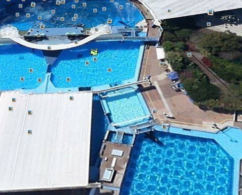 A Year After Blackfish, Tilikum The Orca Is Still Languishing In A Too ...