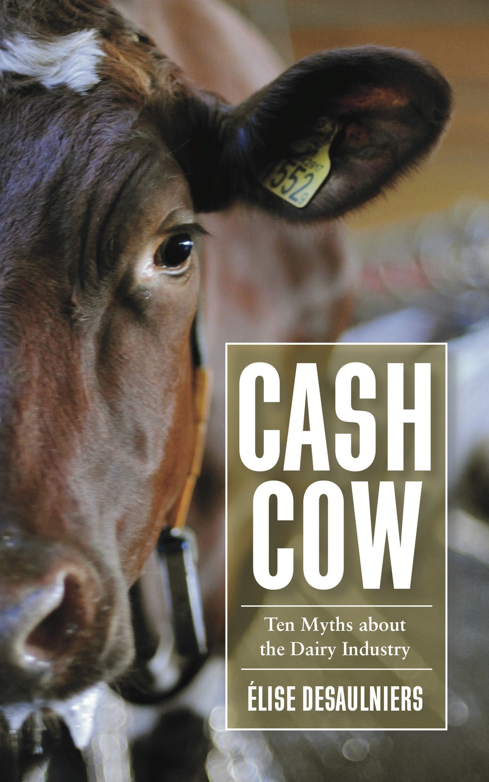 Introduction to CASH COW