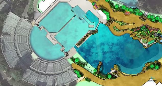 SeaWorld Wants Bigger Tanks — So It Can Get More Orcas