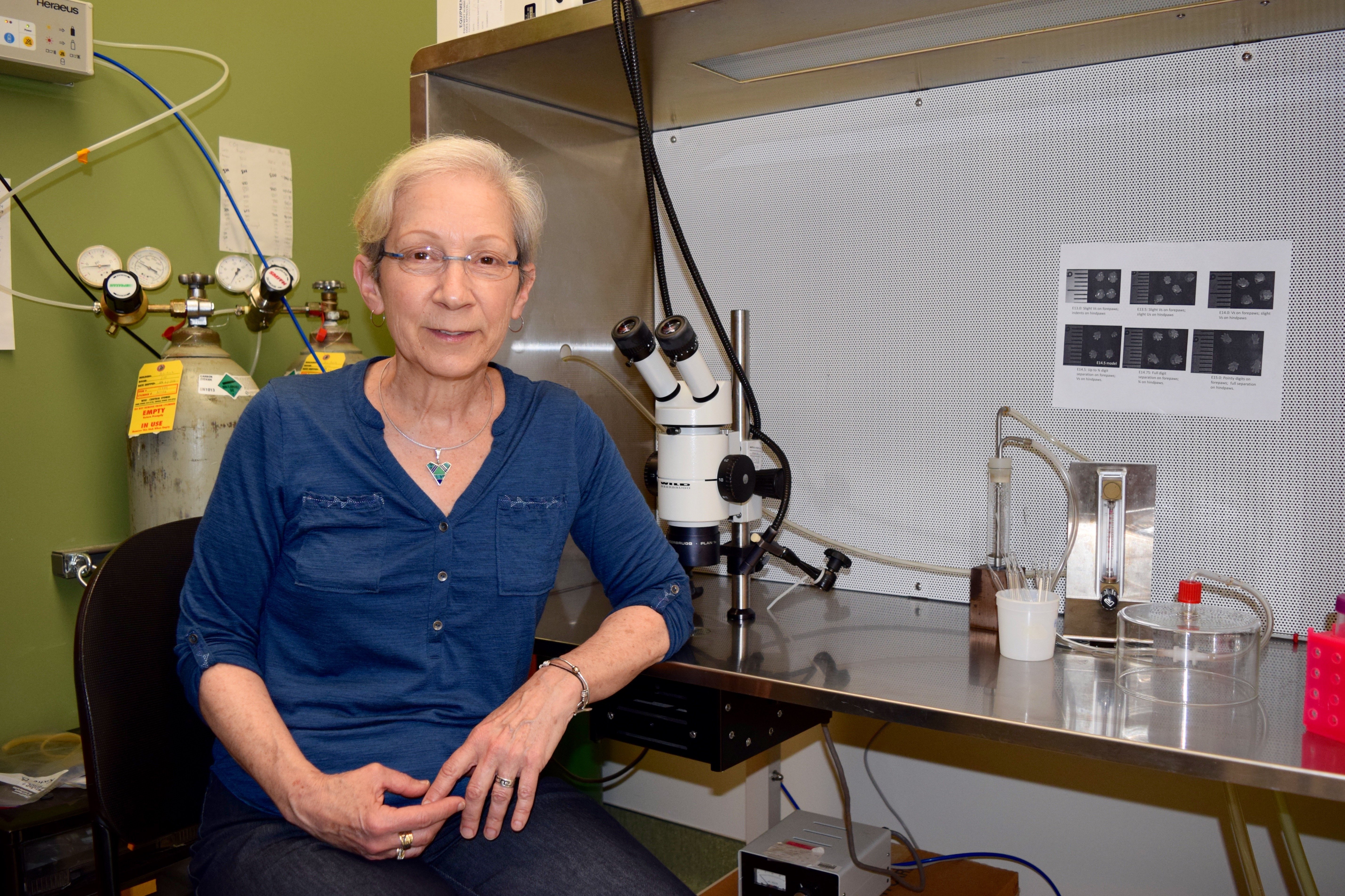 Exposed: On the edge of research honesty - EHN