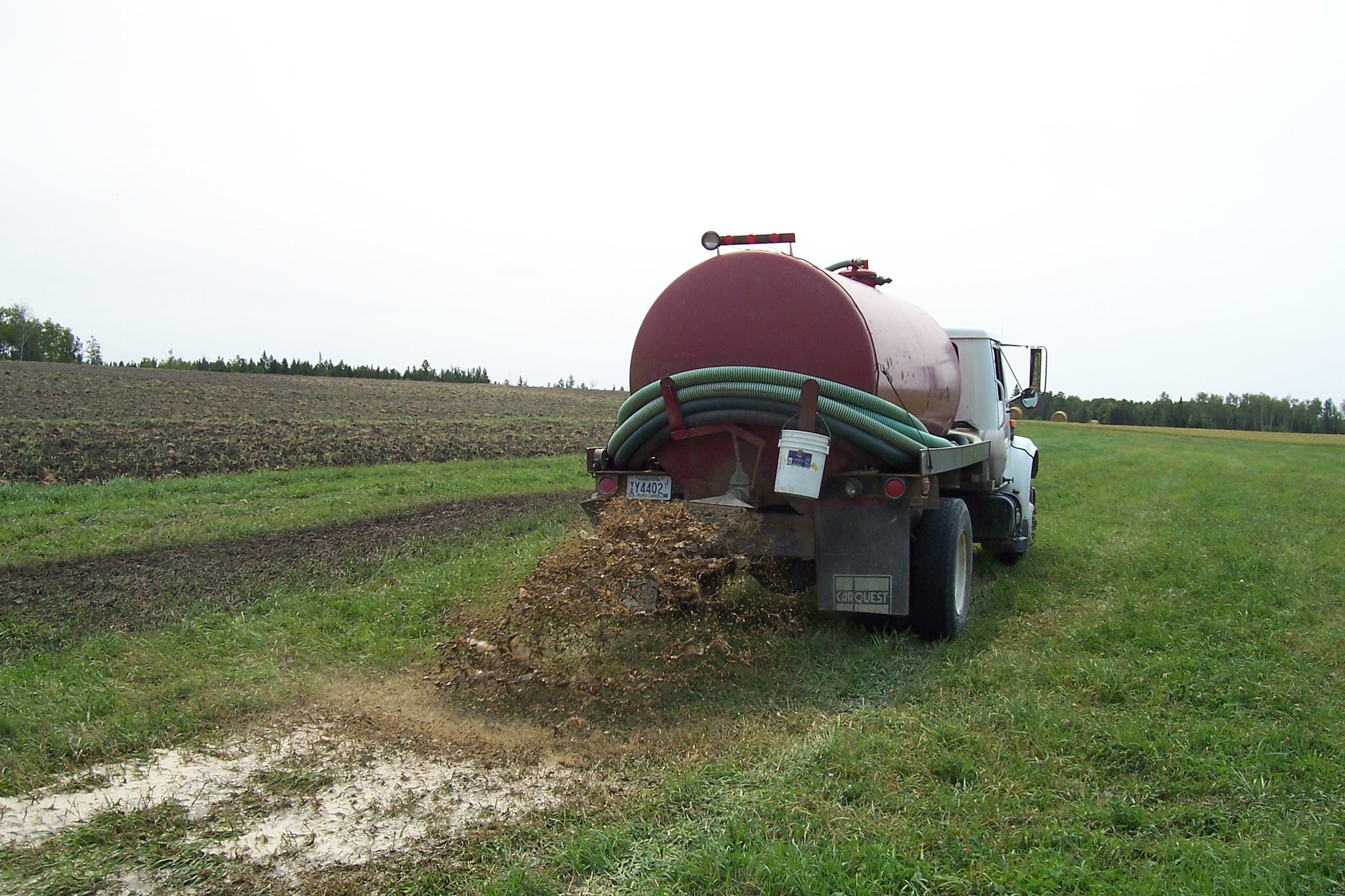 Yes, food is grown in sewage waste. That’s a problem. - EHN
