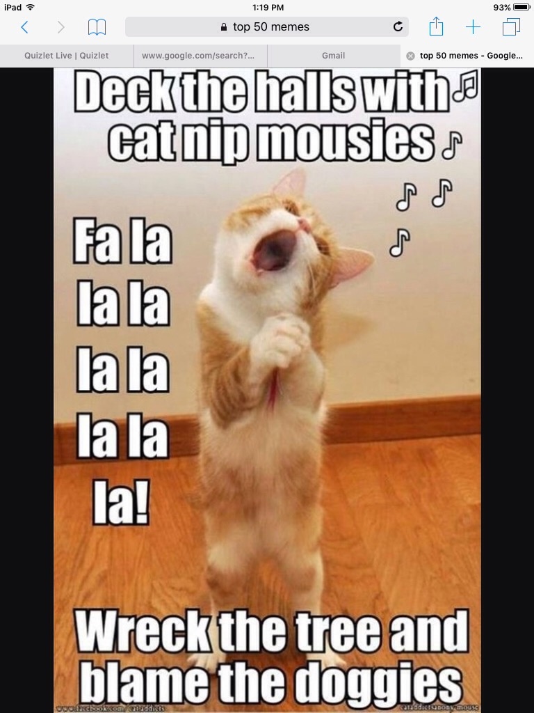 Excited Animal Memes Image Memes At Relatablycom A Title By STEVEN