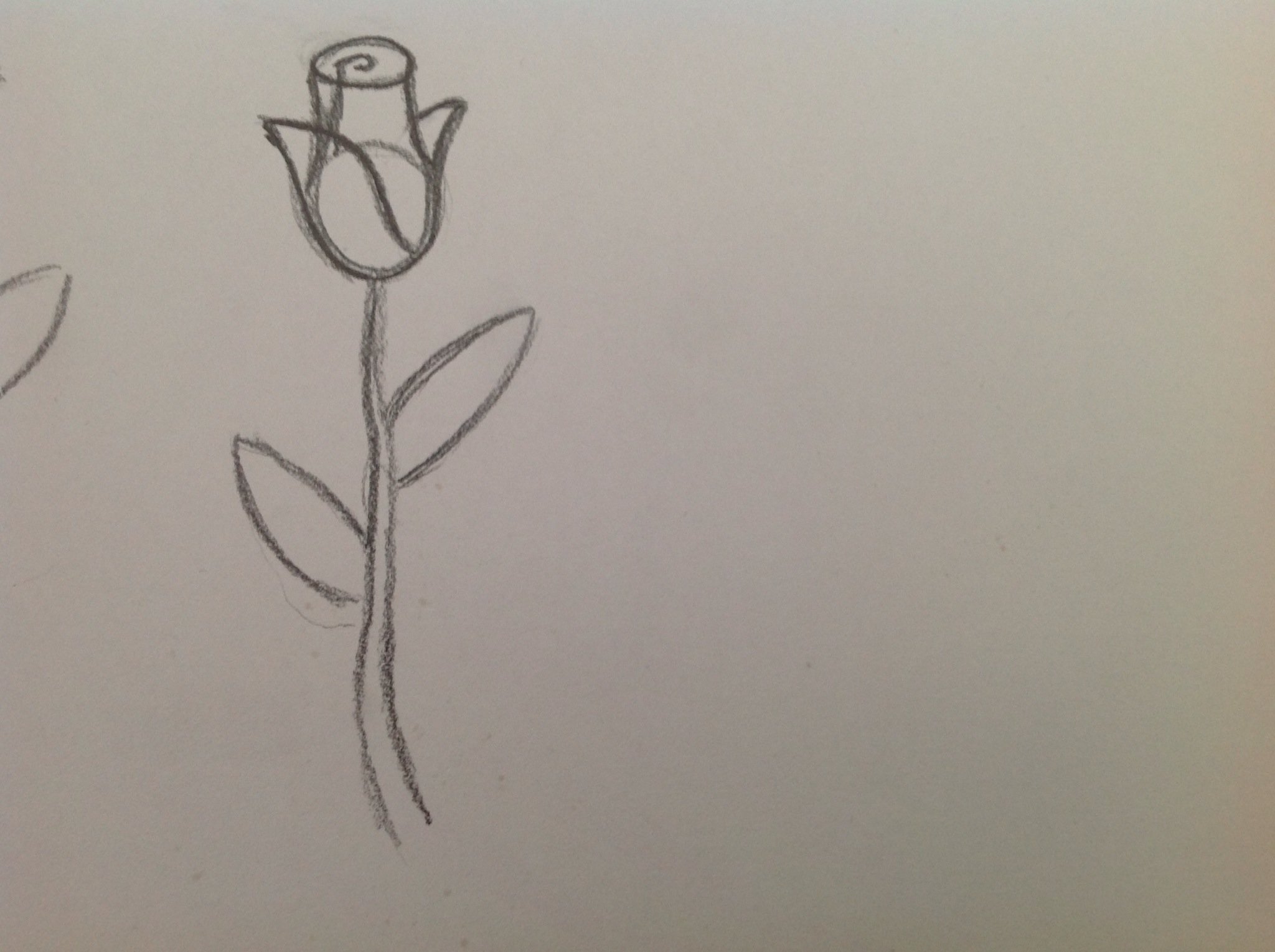 Rose Flower Drawing Tumblr