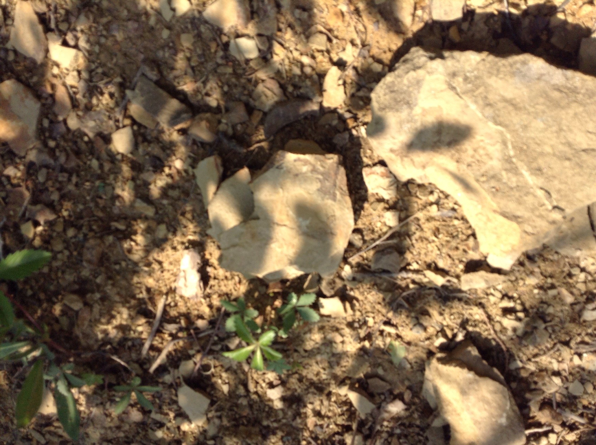 Weathering Examples In Your Backyard Outside Lights & Exterior Light