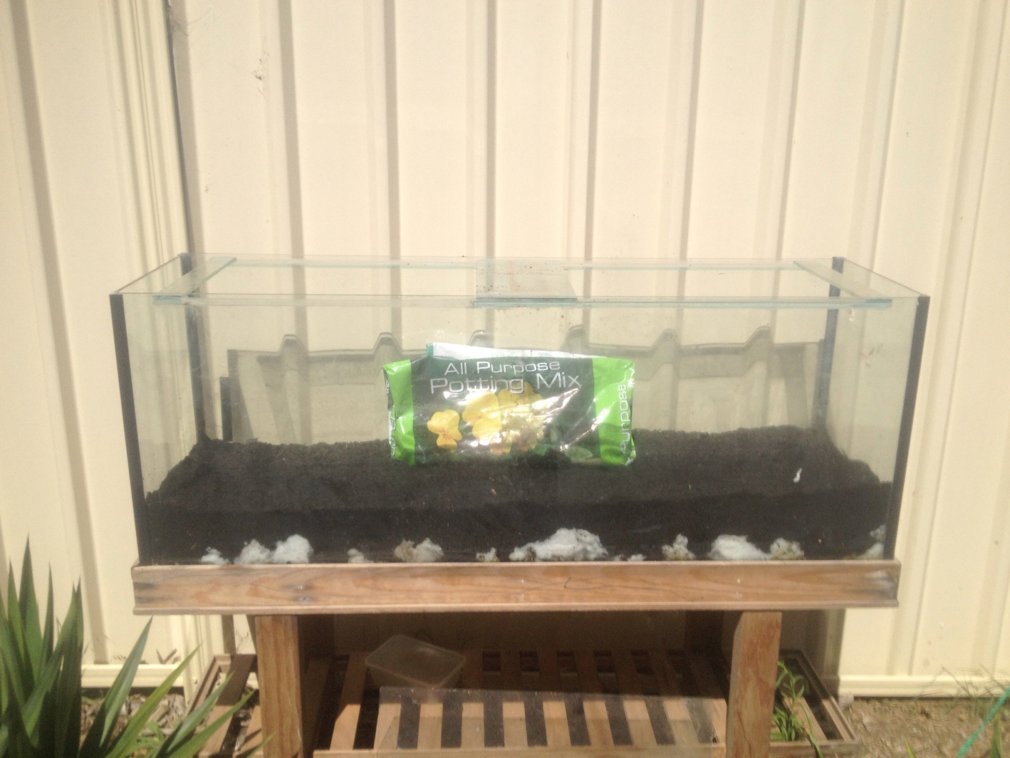 Empty Fish Tank Ideas