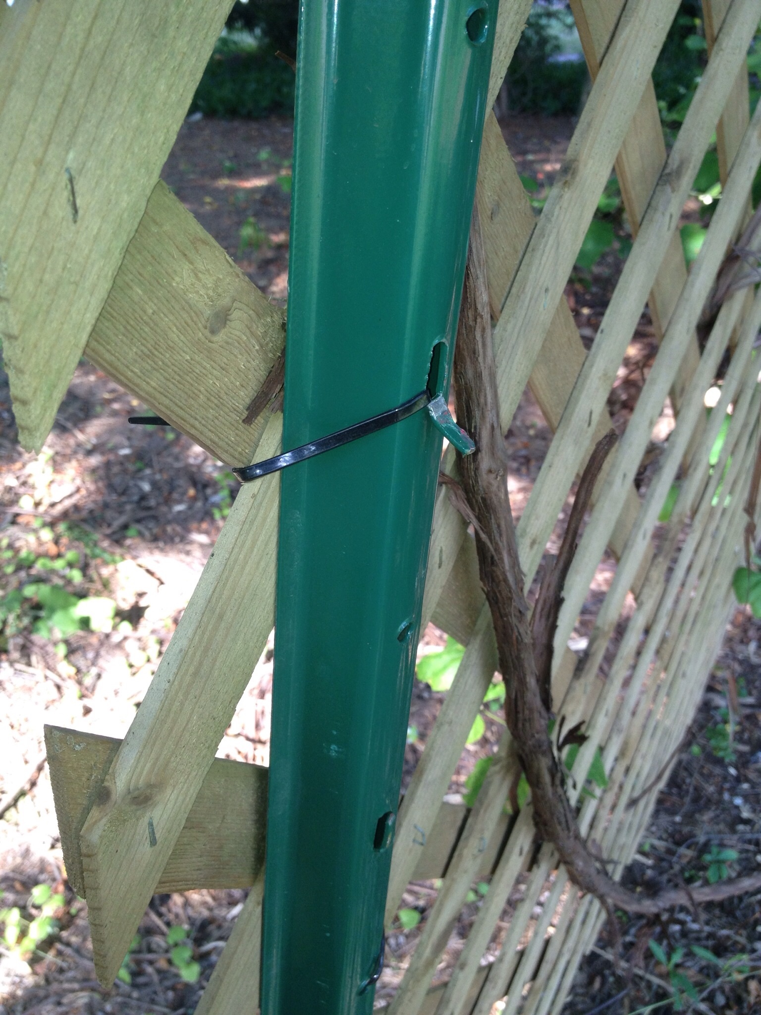 Lattice Fence Attaching To Wood Omega Lattice Trellis Fence Panel