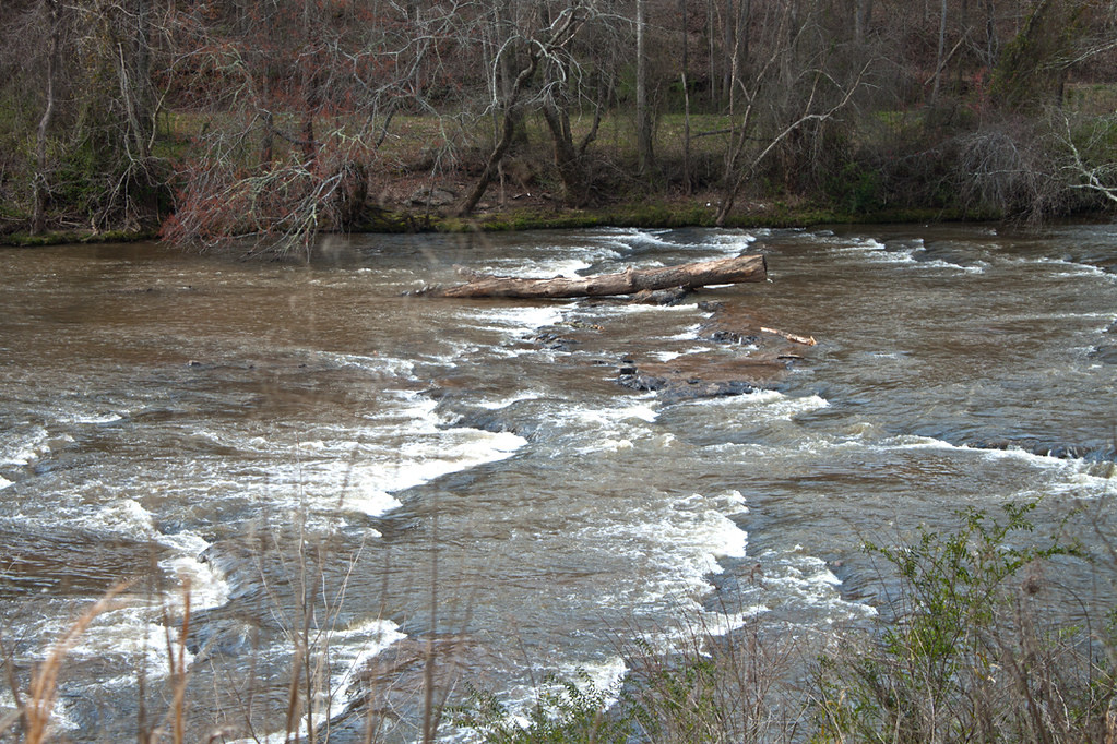 My urban nature gem - EHN