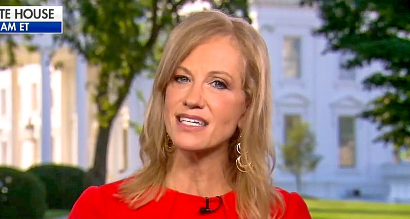 'That's too bad': Kellyanne Conway mocks Democrats 'totally beholden ...
