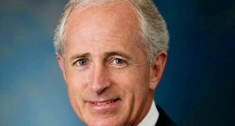 Republican senator says Trump yet to demonstrate needed stability - Raw ...