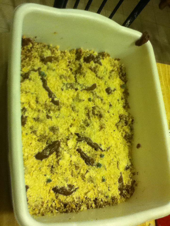 Kitty Litter Casserole Kitty Litter Cake