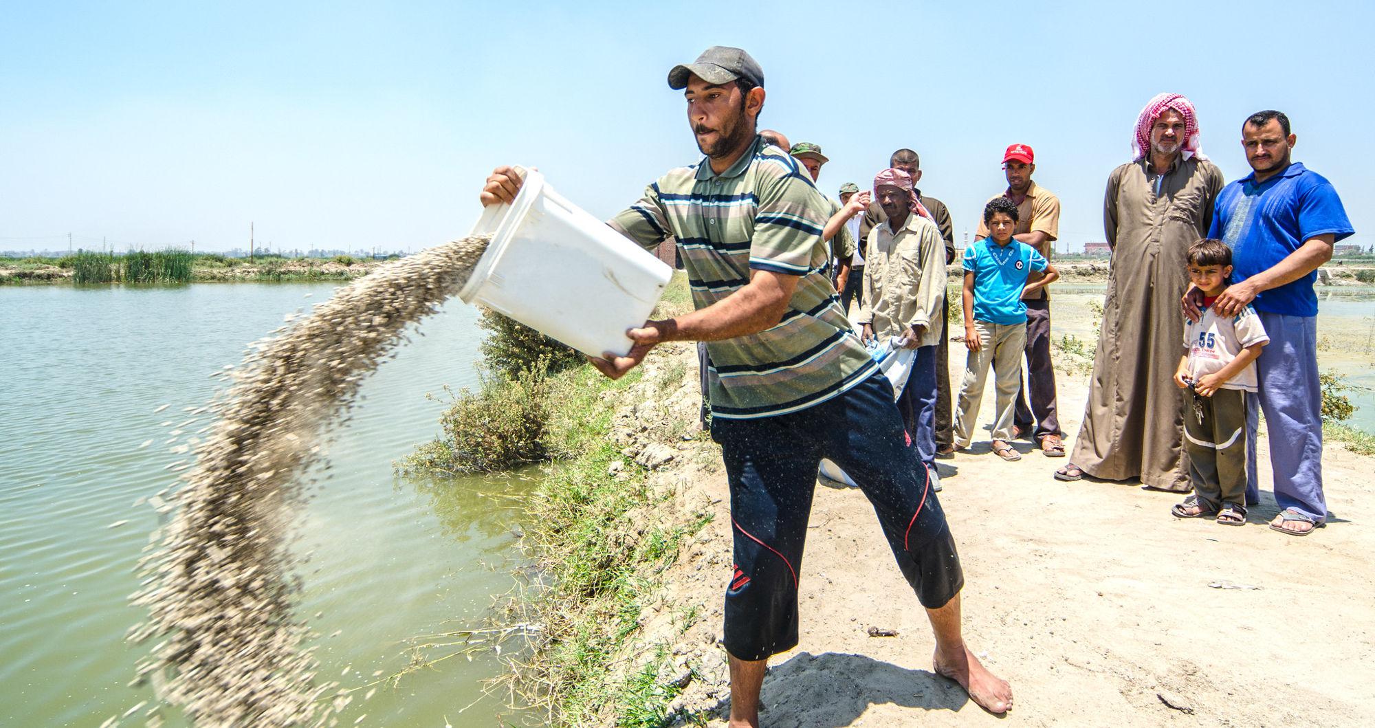 Fish farming has a plastic problem - EHN