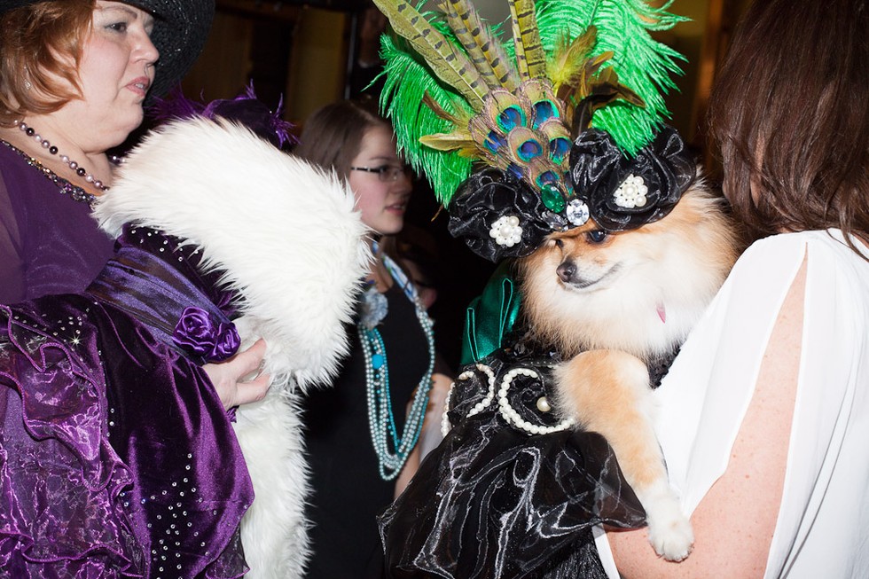 Woof Scenes From A Dog Fashion Show PAPER woof-scenes-from-a-dog-fashion-show-paper