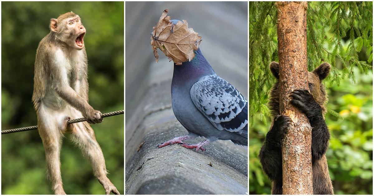 Katy Perry Raging Waters Blooper