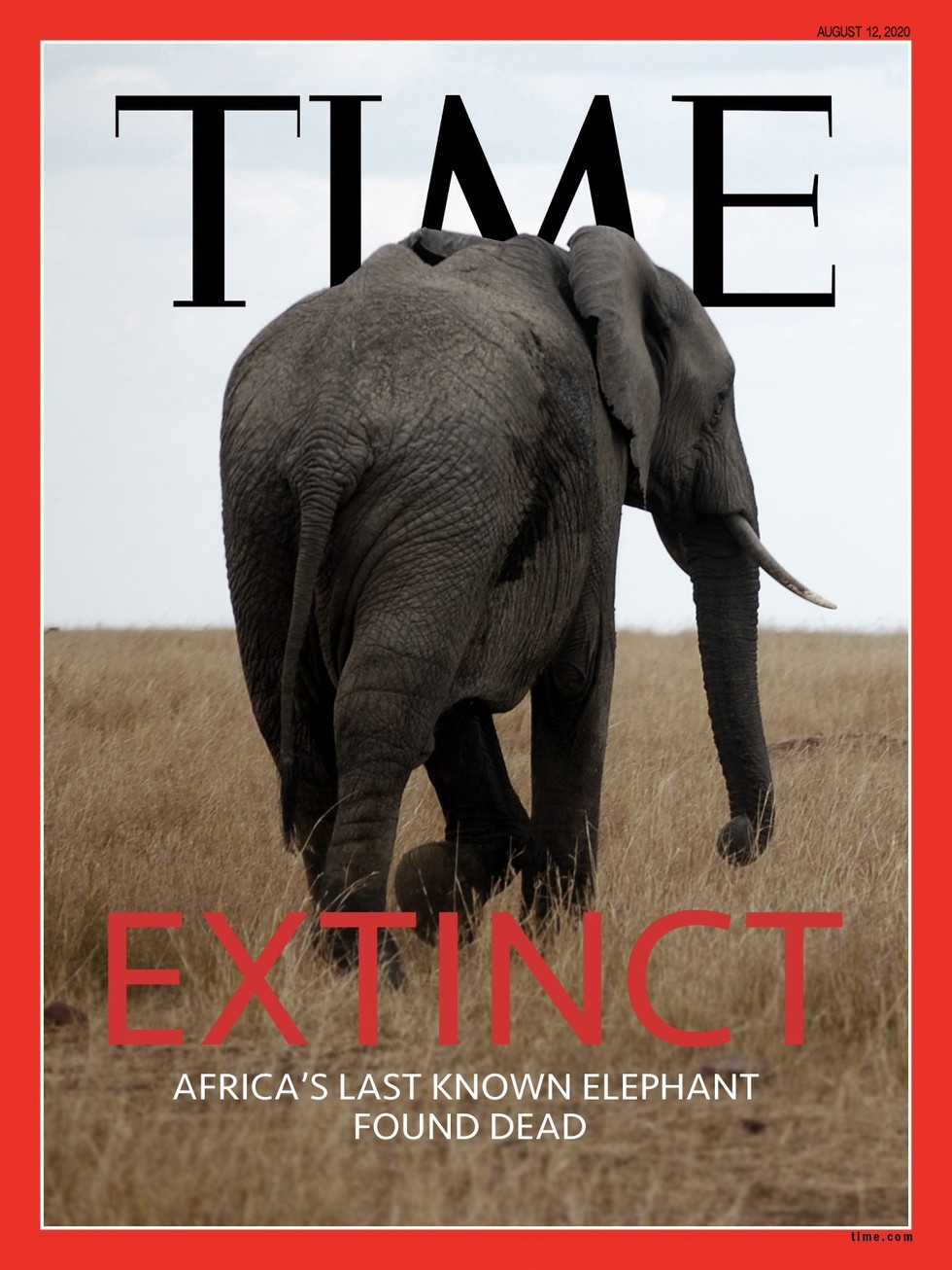 Fictional Magazine Cover Imagines The Day African Elephants Go Extinct ...