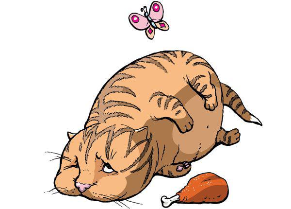 Food Coma Nap Someecard