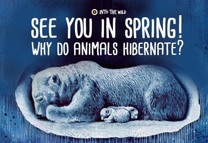 See You In Spring!