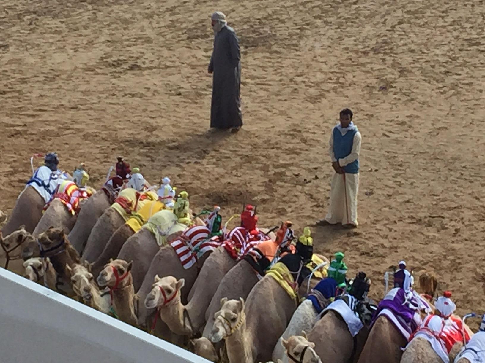 Camel Racing Robot