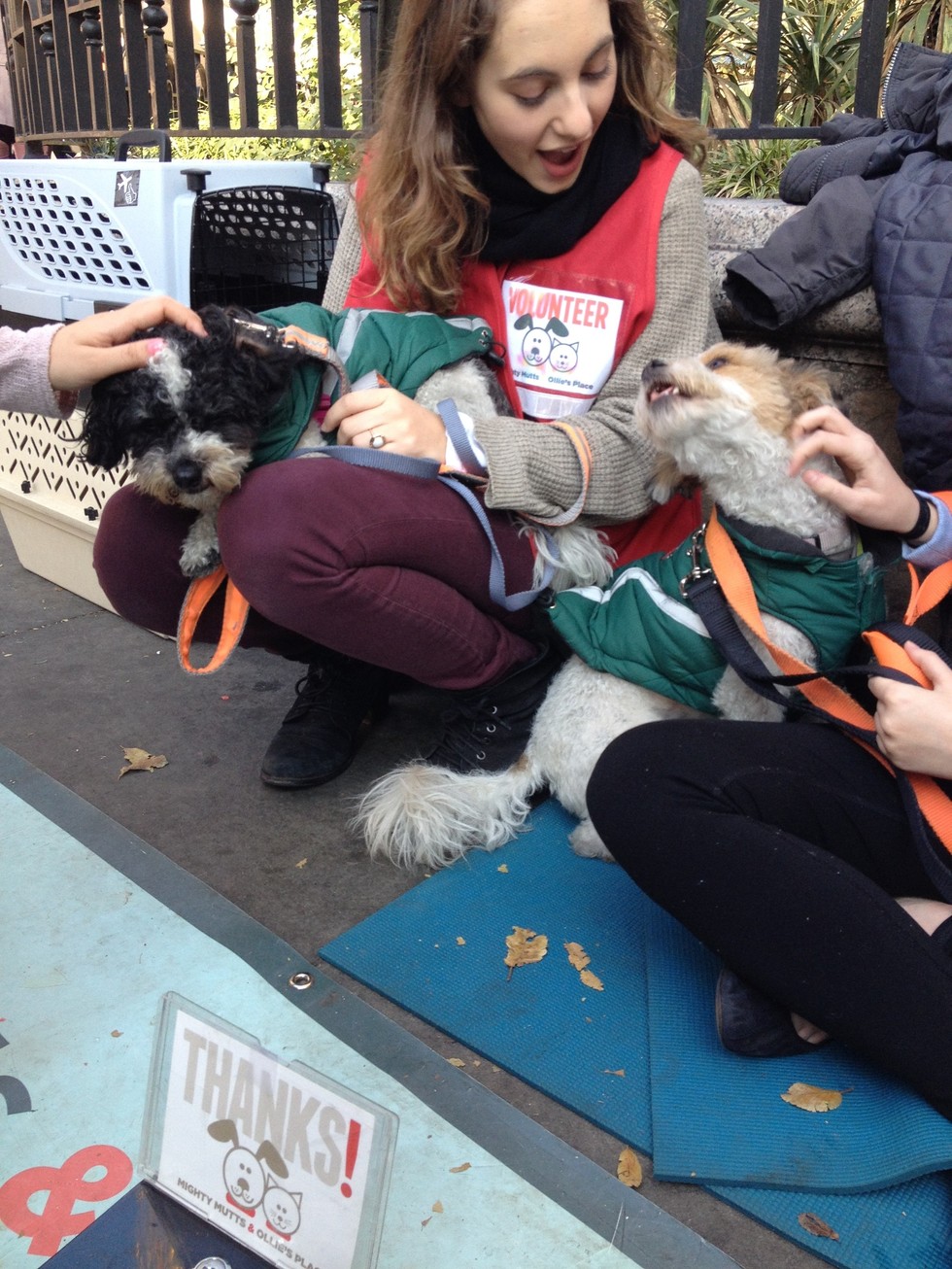 Dogs With Severe Anxiety Just Want To Find A Home — Together