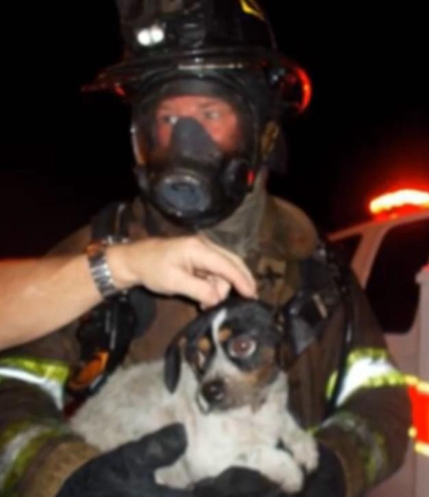 Firemen Should Be Able To Save Your Dog, Too
