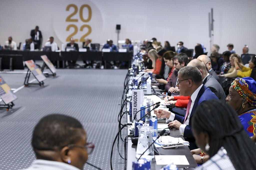 It’s time to re-think the United Nations’ COP climate negotiations - EHN