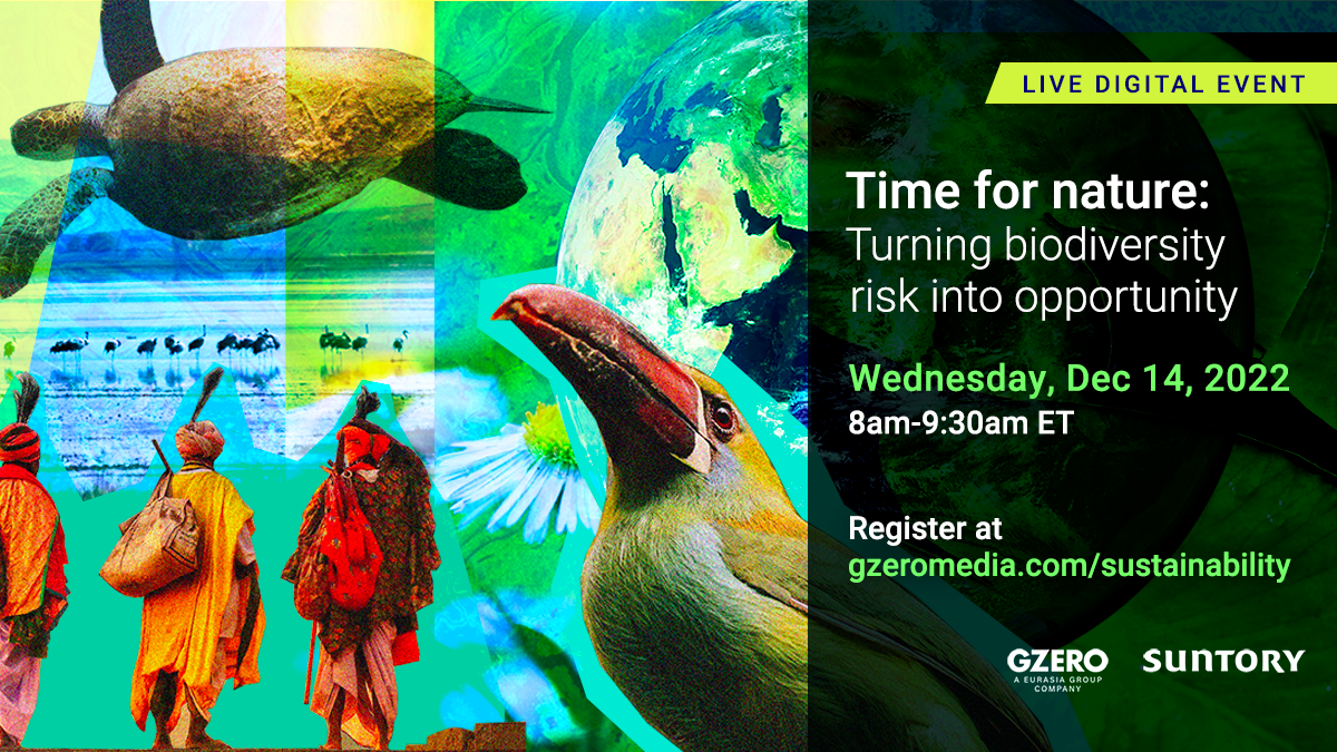 Time for nature: Turning biodiversity risk into opportunity - GZERO Media