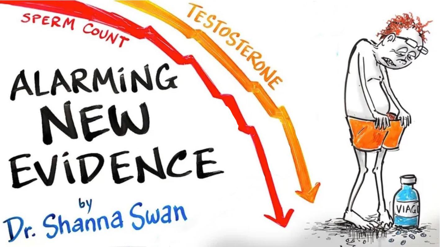 Dr. Shanna Swan on chemicals, hormones and our reproductive health - EHN