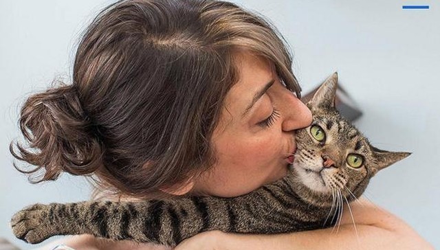 How I Learned To Love Being A Single Cat Lady